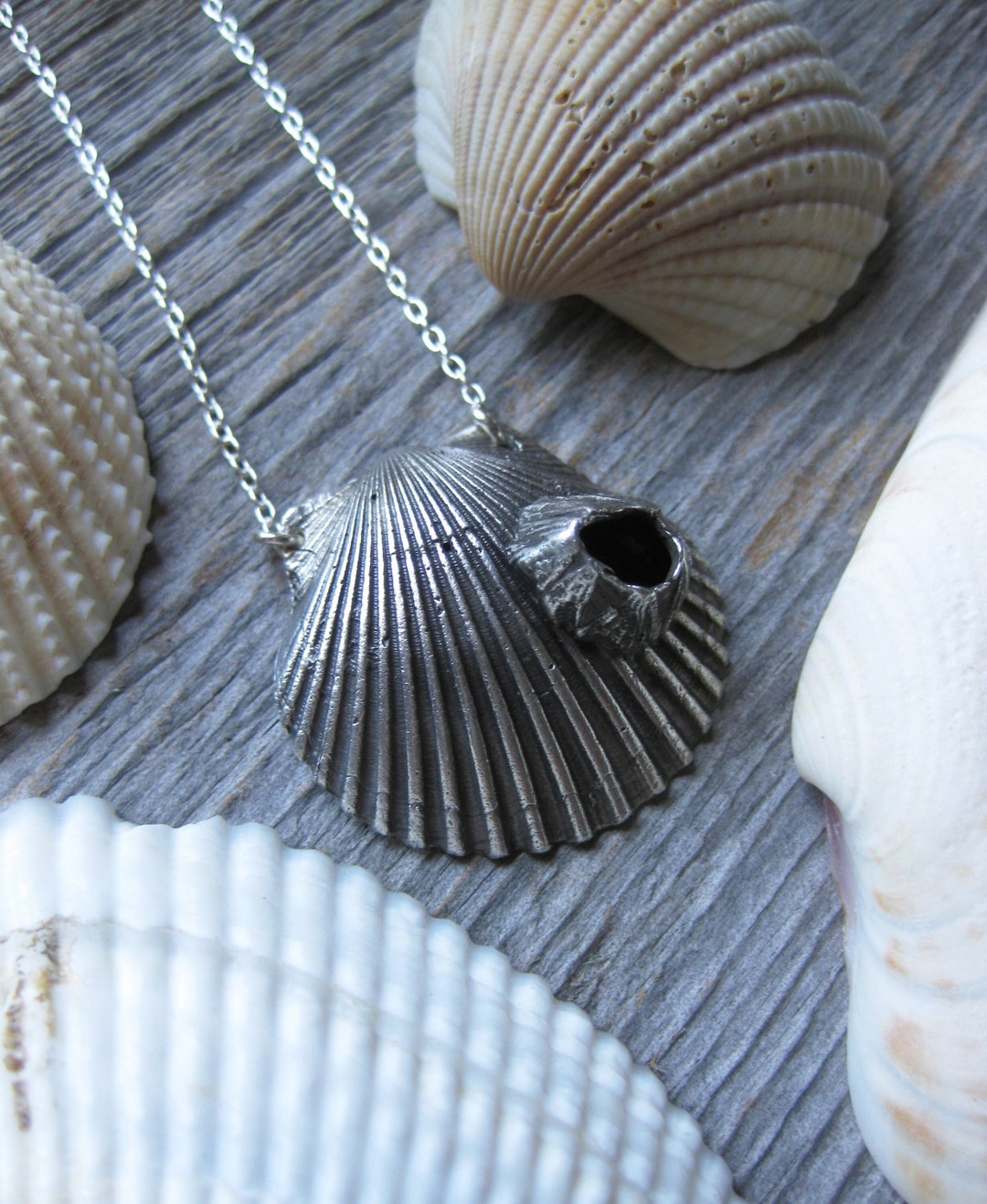 SCALLOP Shell and Barnacle Oxidized Sterling Silver Necklace - Etsy