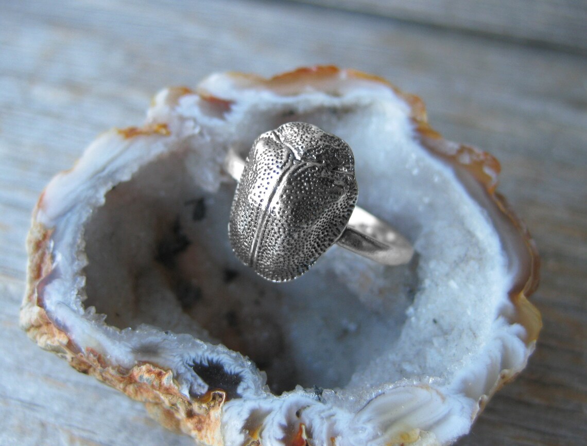 SCARAB Ring Real Insect Jewelry Bug Ring Oxidized Sterling | Etsy