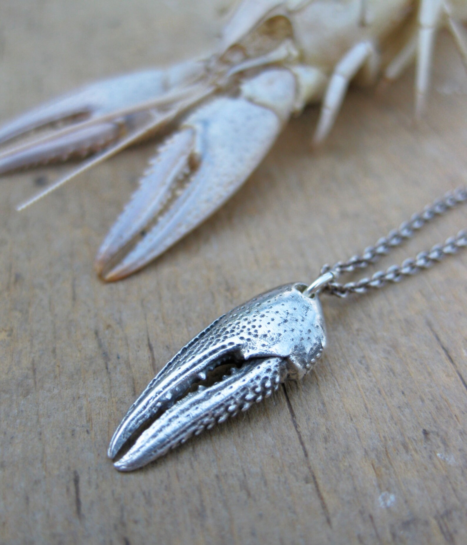Small Crayfish Crawfish Crawdaddy CLAW Sterling Silver - Etsy