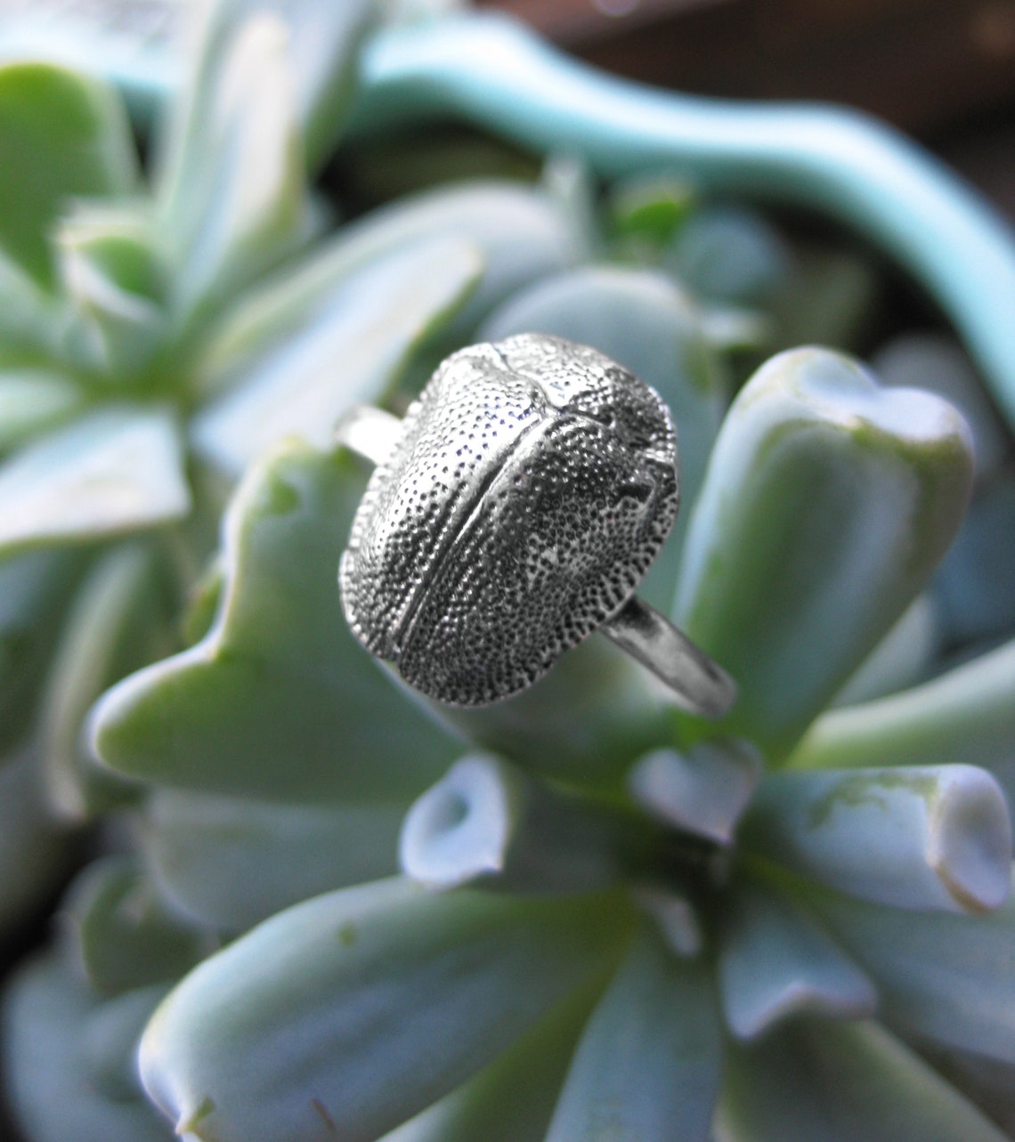 SCARAB Ring Real Insect Jewelry Bug Ring Oxidized Sterling | Etsy