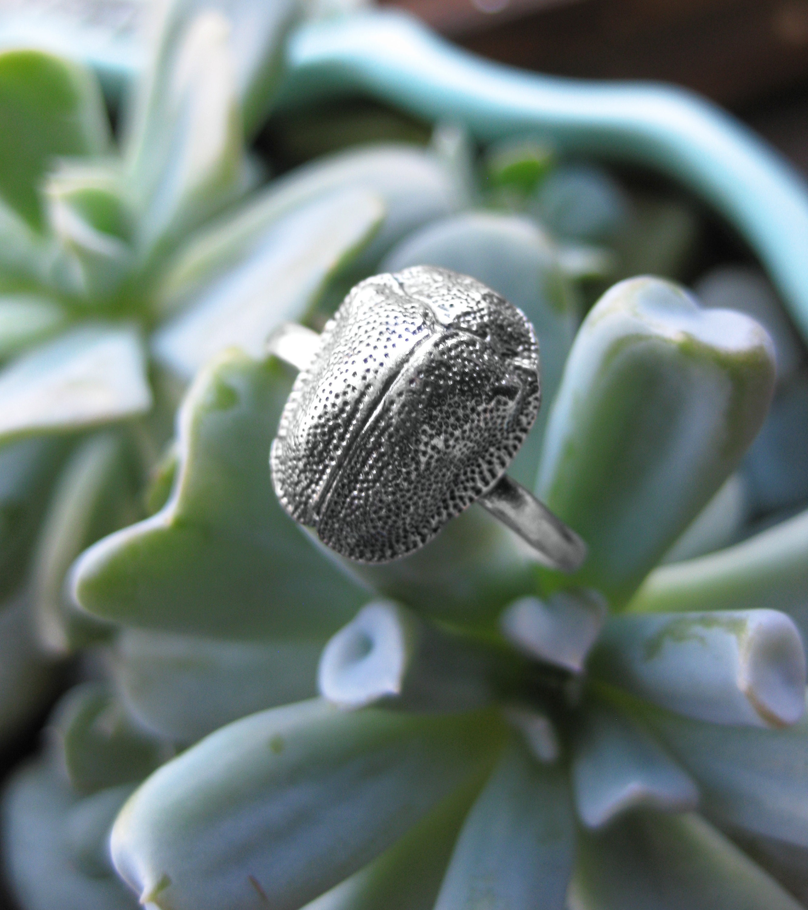 SCARAB Ring Real Insect Jewelry Bug Ring Oxidized Sterling | Etsy