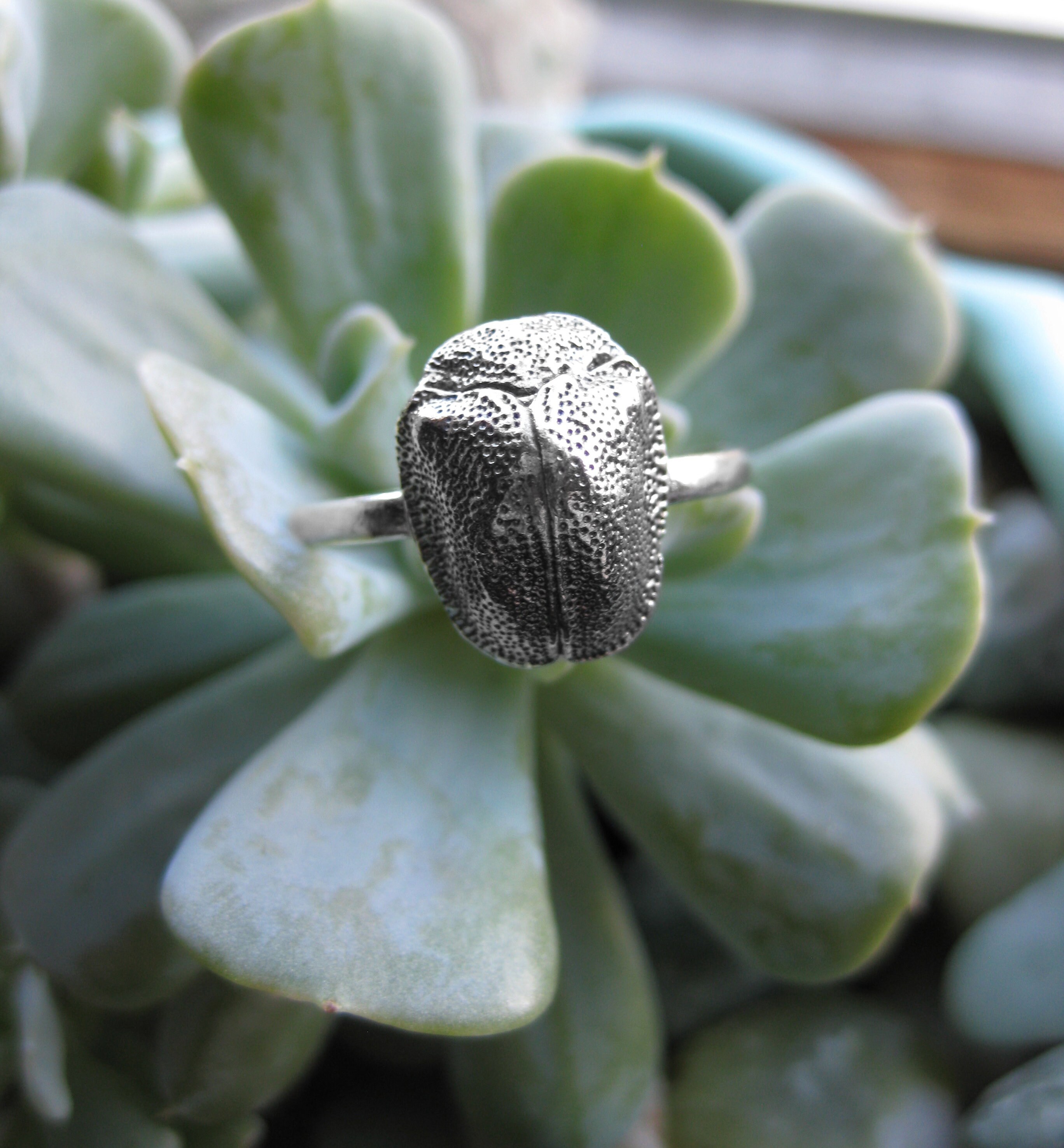 SCARAB Ring Real Insect Jewelry Bug Ring Oxidized Sterling | Etsy