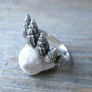 Spiral SHELL Seashell Ring Summer Beach Ring Made to Order Size ...