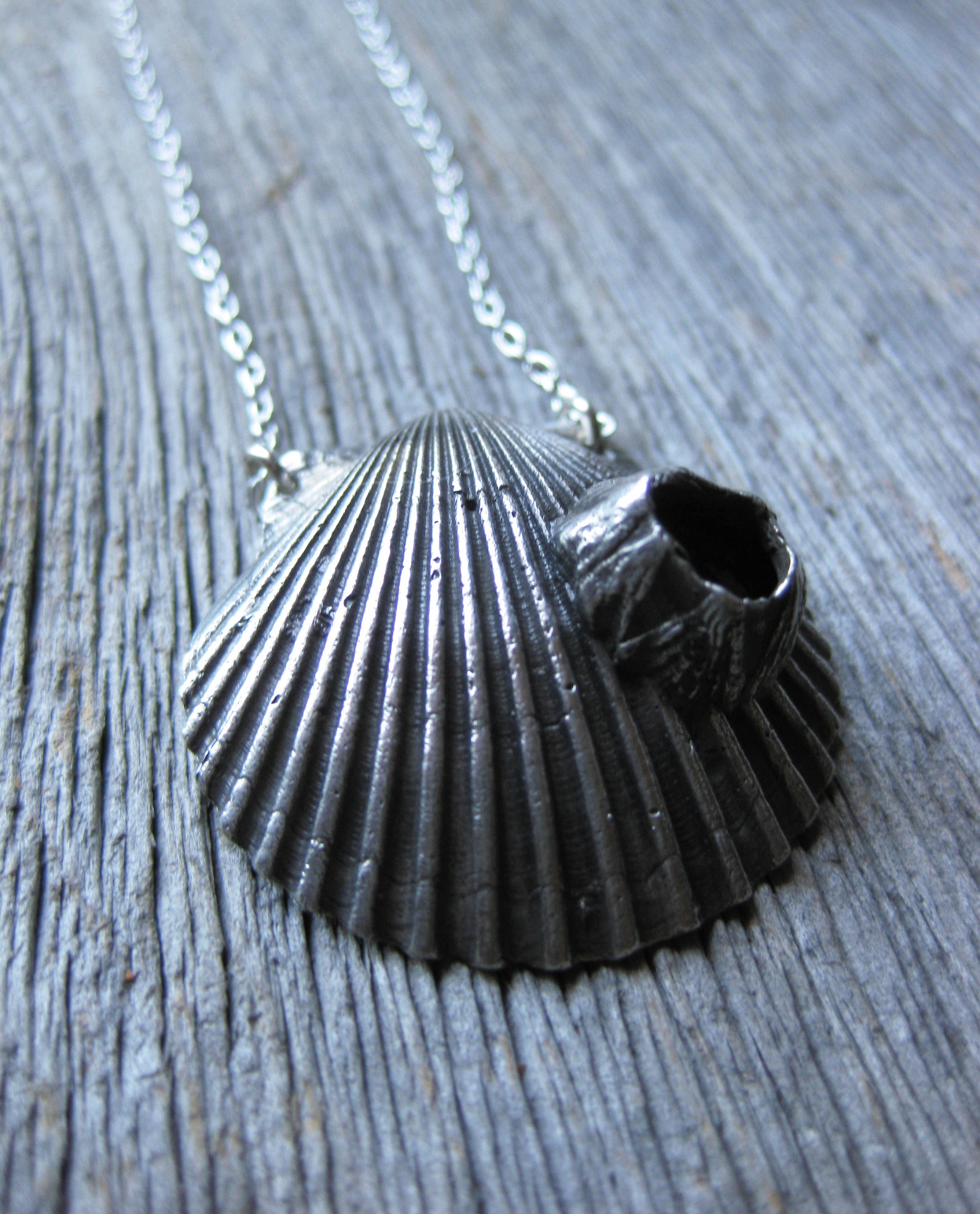 SCALLOP Shell and Barnacle Oxidized Sterling Silver Necklace - Etsy