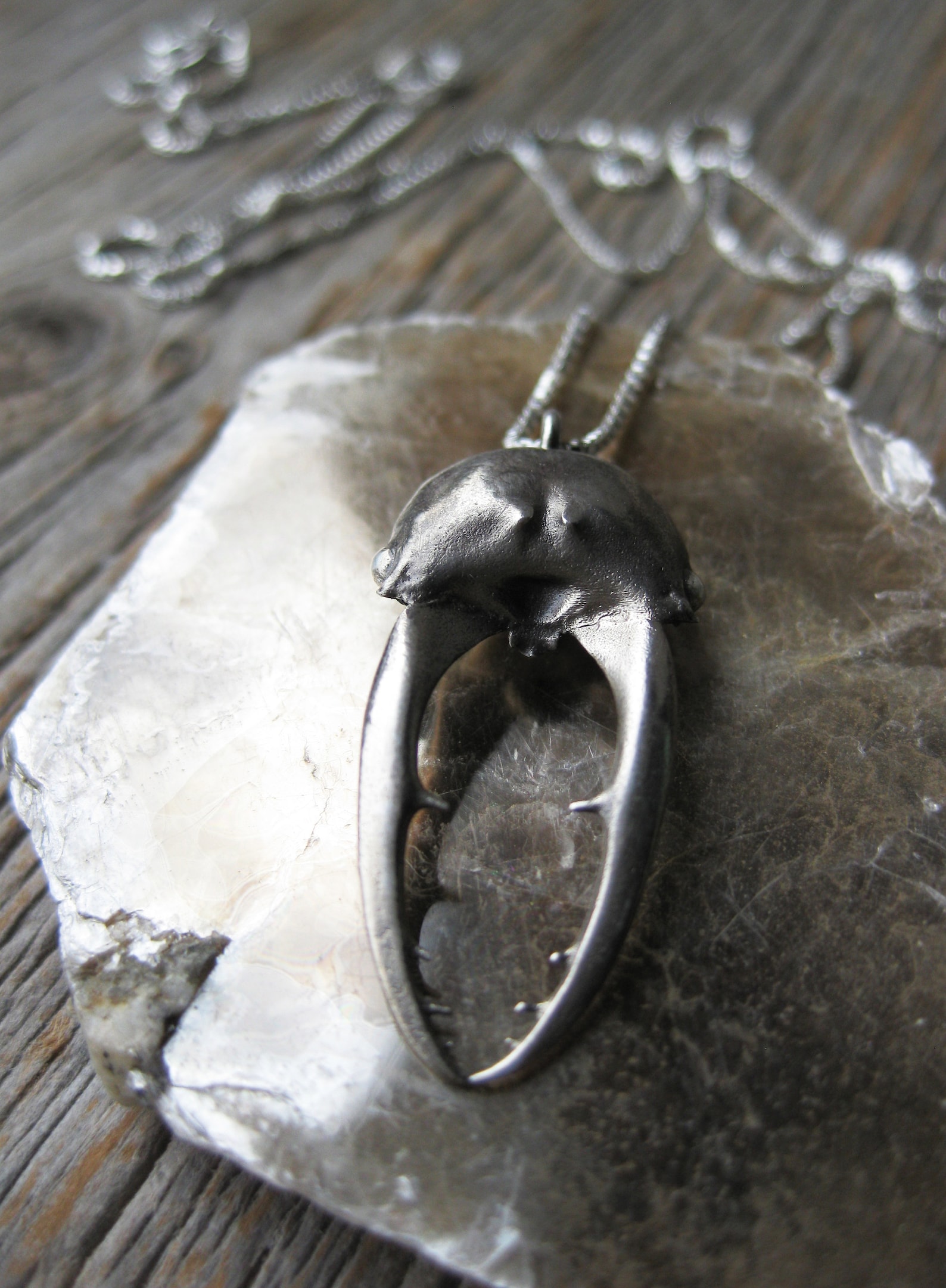 STAG BEETLE Necklace Real Insect Jewelry Oxidized Sterling Silver Bug ...