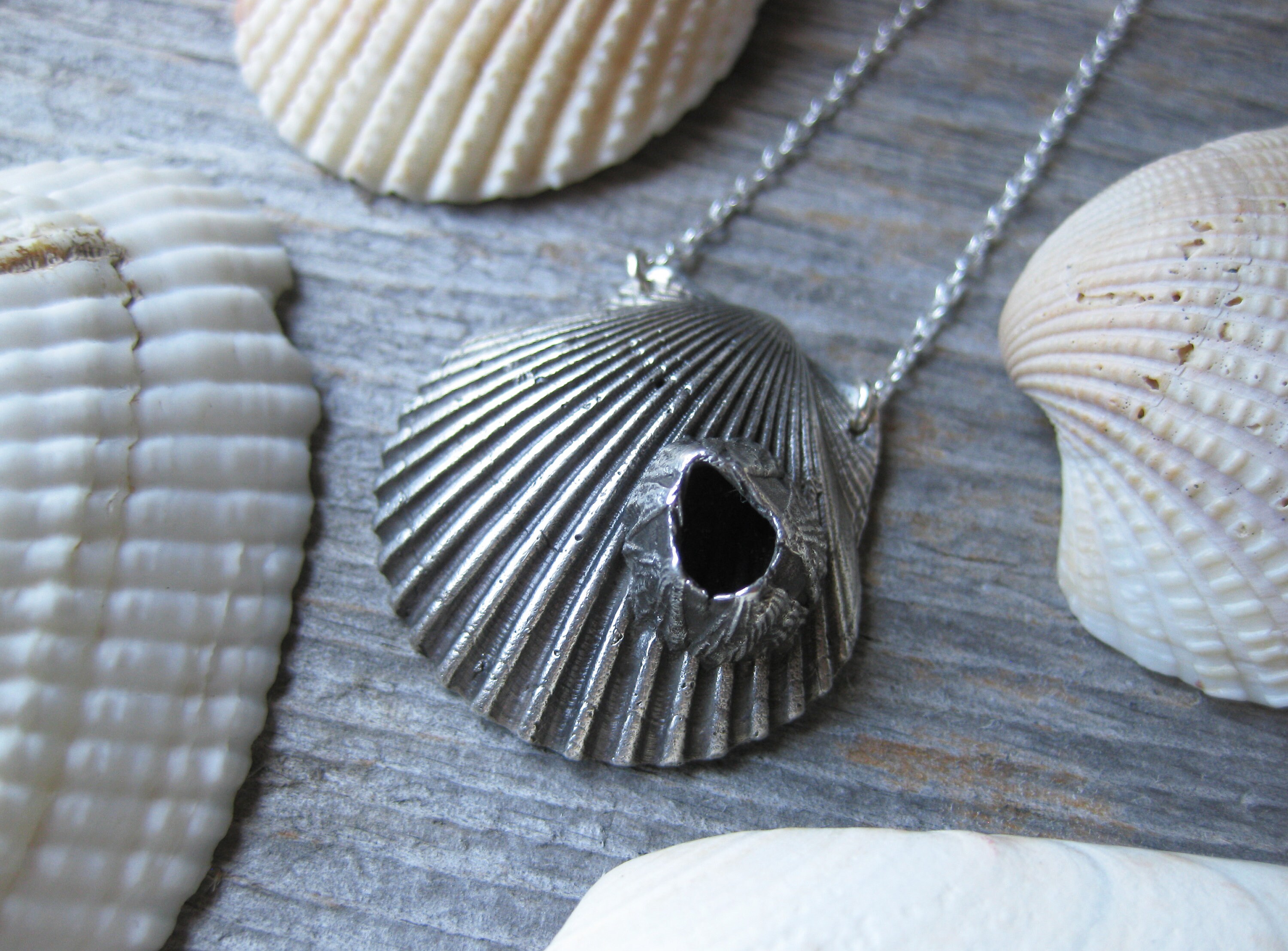 SCALLOP Shell and Barnacle Oxidized Sterling Silver Necklace - Etsy