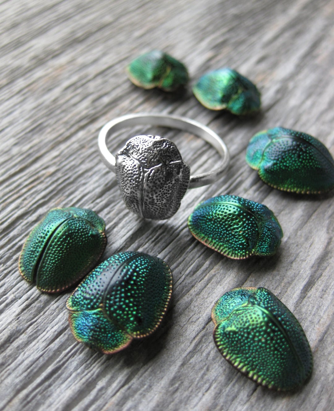 SCARAB Ring Real Insect Jewelry Bug Ring Oxidized Sterling Silver Made ...