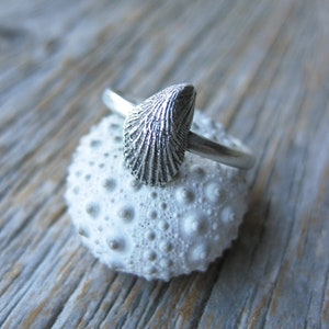 Seashell Stacking Rings Sterling Silver Make Your Own Stack Ready to ...