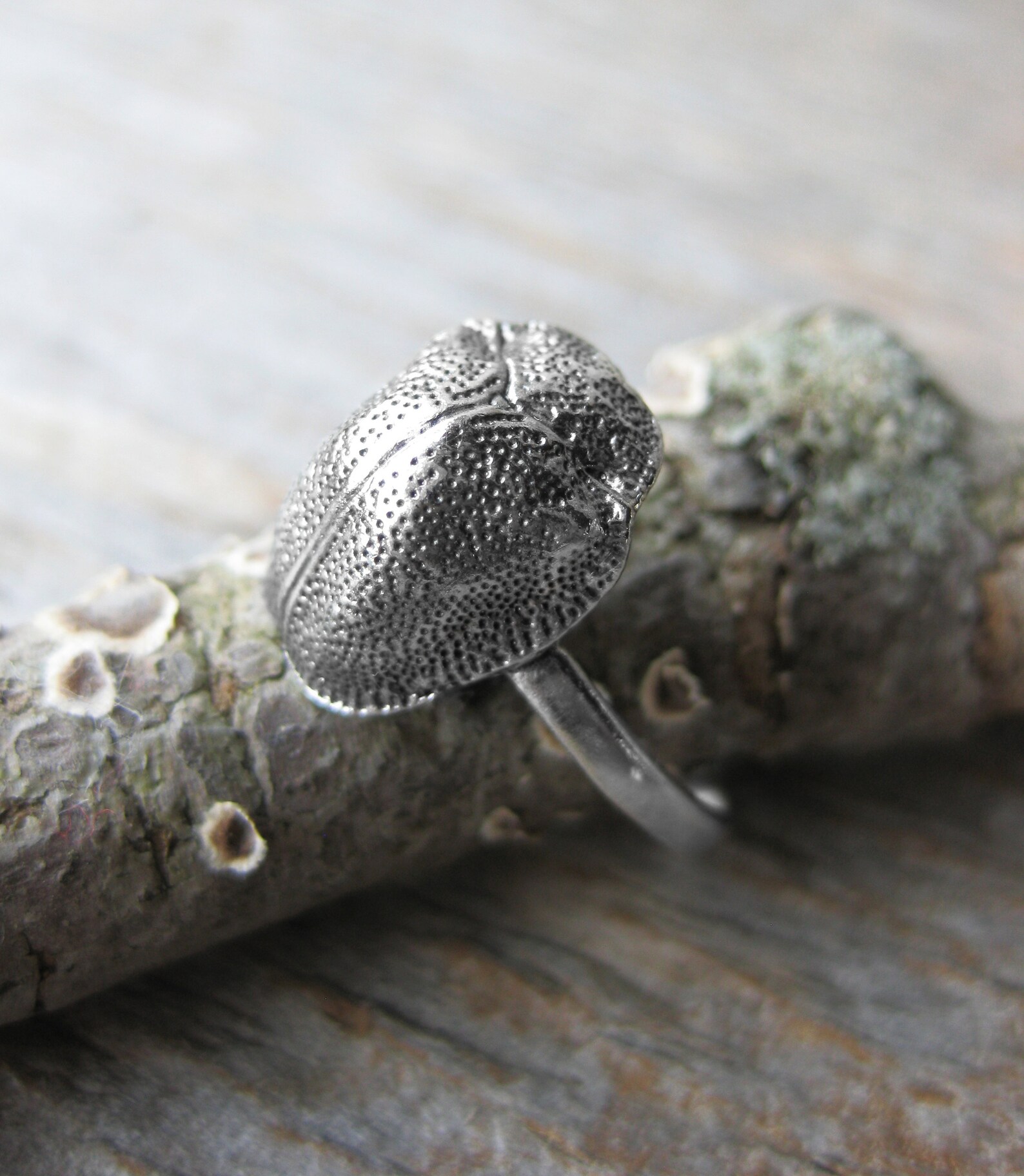 SCARAB Ring Real Insect Jewelry Bug Ring Oxidized Sterling | Etsy