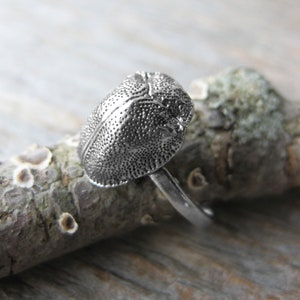 SCARAB Ring Real Insect Jewelry Bug Ring Oxidized Sterling Silver Ready ...