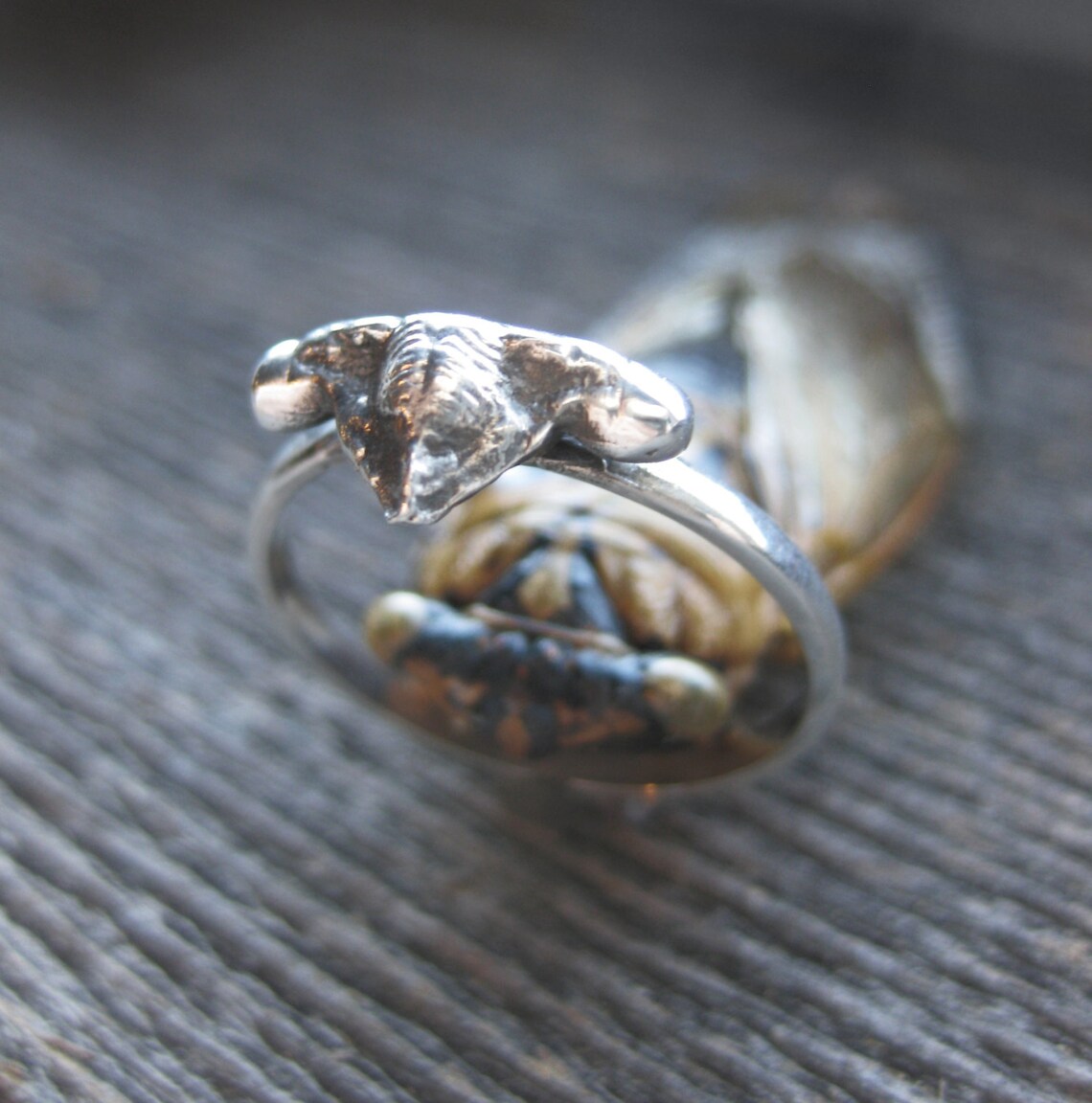 CICADA Stacking Ring Oxidized Real Insect Jewelry Sterling - Etsy
