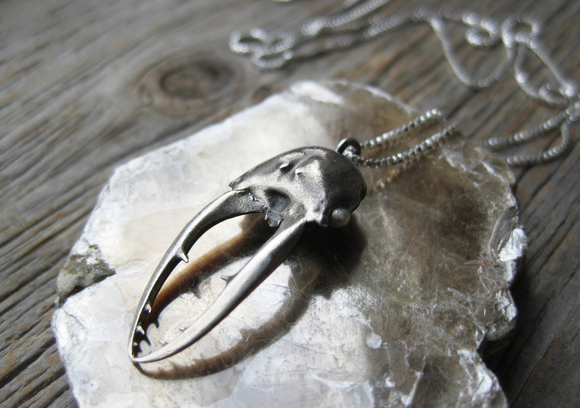 STAG BEETLE Necklace Real Insect Jewelry Oxidized Sterling - Etsy