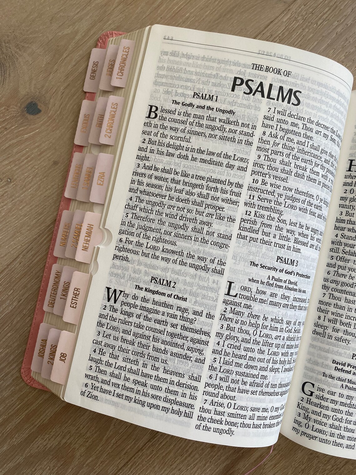 Pink Faux Leather KJV Bible: Rose Gold Tabs, Giant Print - Etsy