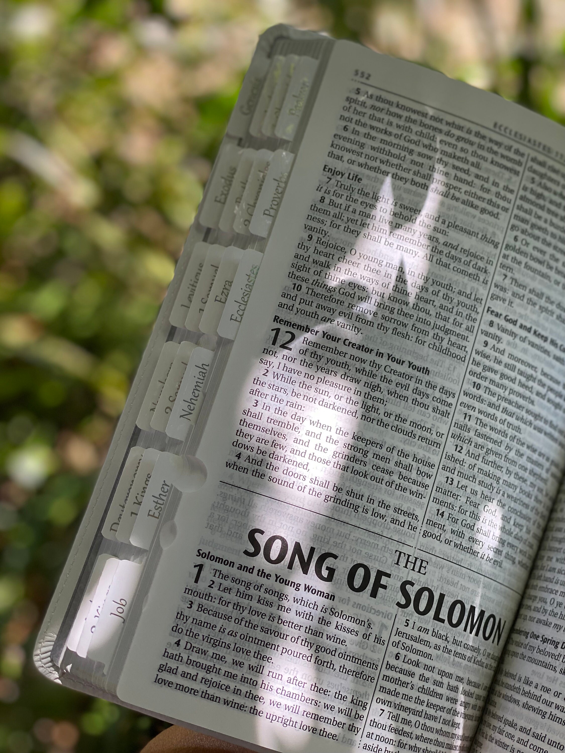 White Faux Leather Large Print Thinline KJV Bible With Matching ...