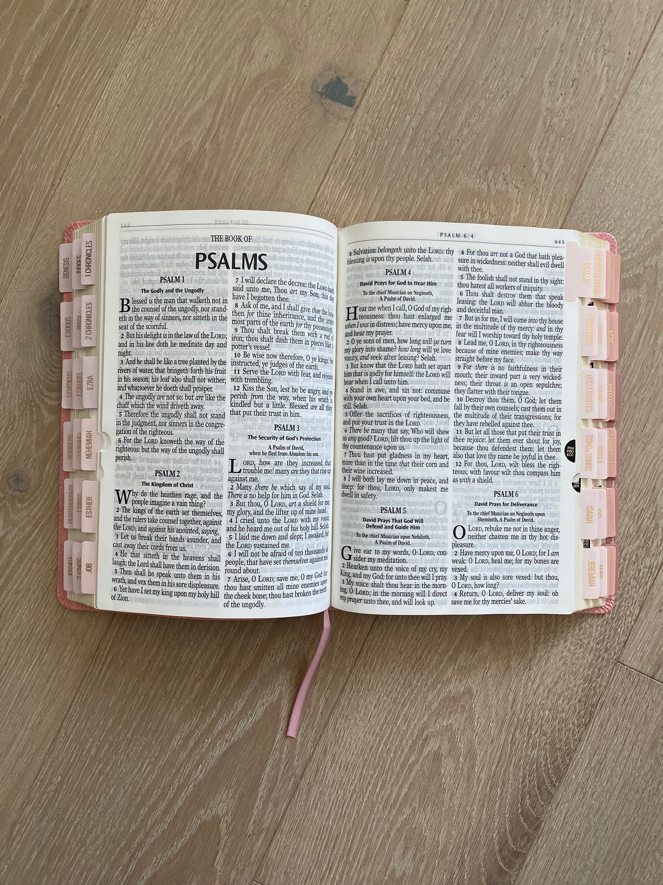 Pink Faux Leather KJV Bible: Rose Gold Tabs, Giant Print - Etsy