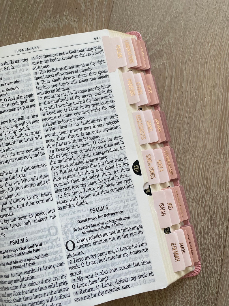 Pink Faux Leather KJV Bible: Rose Gold Tabs, Giant Print - Etsy