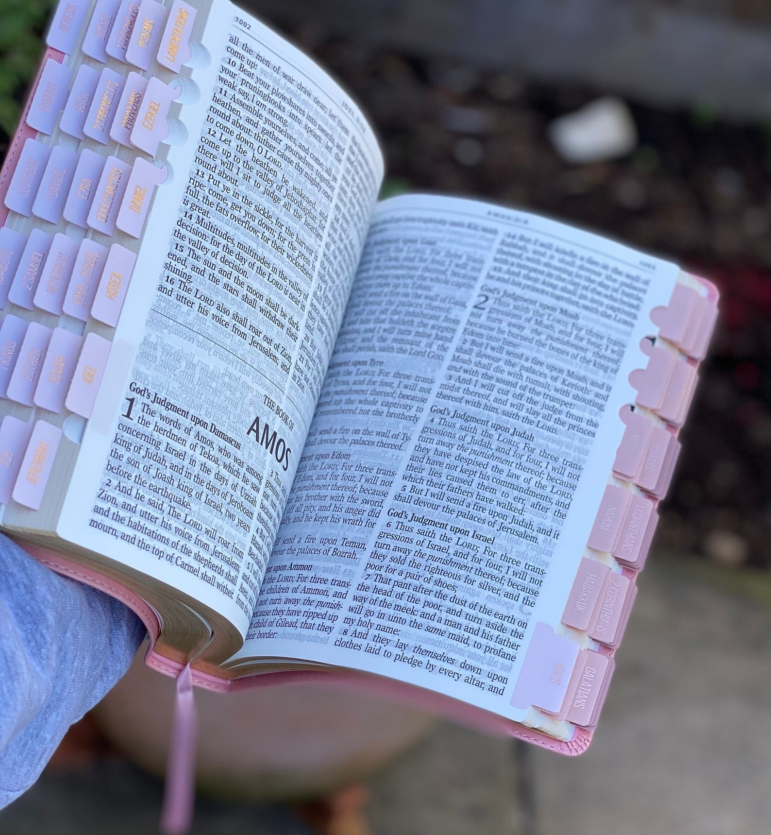 Pink Faux Leather King James Bible: Rose Gold Tabs, Large Print - Etsy
