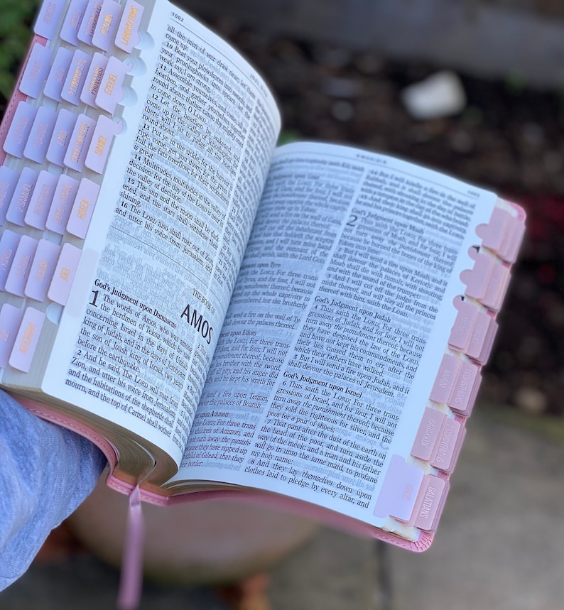 Pink Faux Leather King James Bible: Rose Gold Tabs, Large Print - Etsy