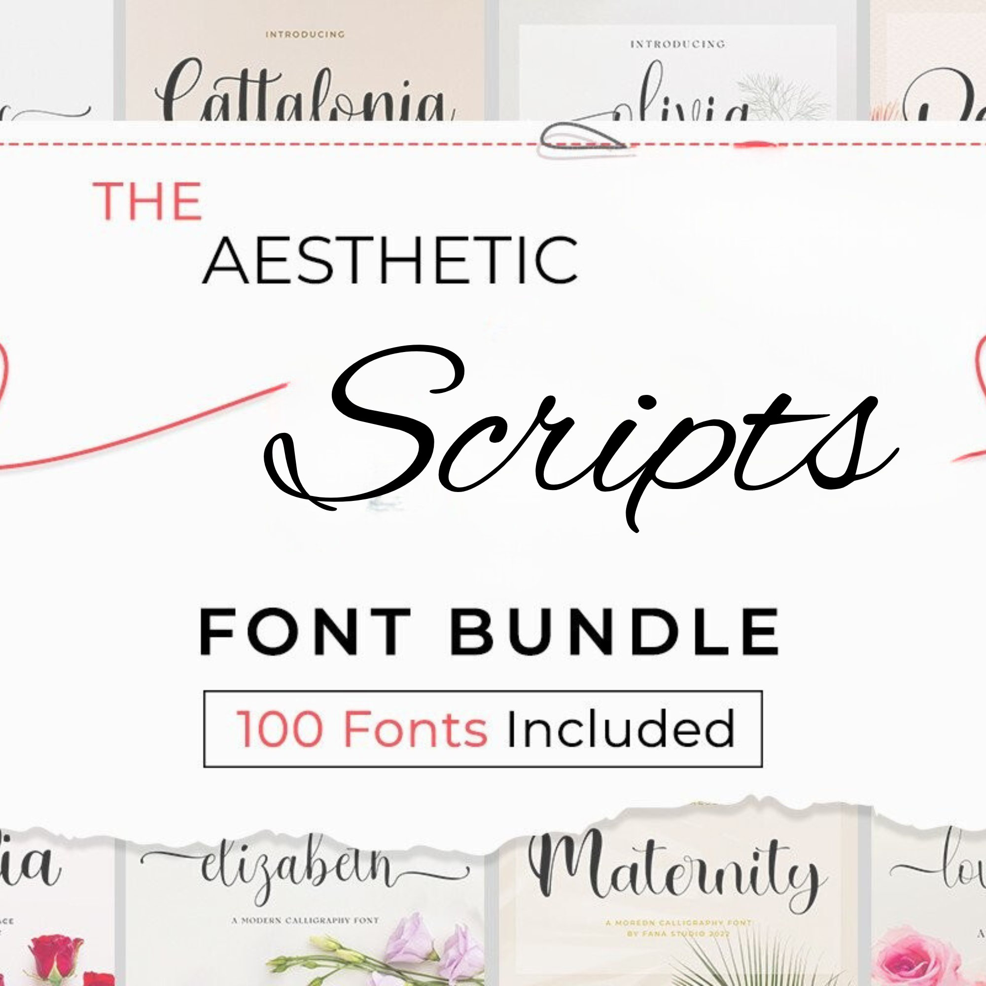 Aesthetic Scripts Bundle / Cricut, Procreate, Crafts, Design / Font ...