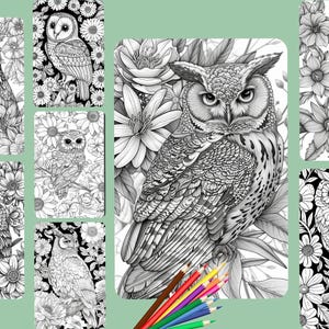 Fantasy Floral Owl Coloring Book, Bird Coloring, Relaxing Coloring ...