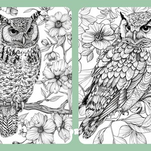 Fantasy Floral Owl Coloring Book, Bird Coloring, Relaxing Coloring ...
