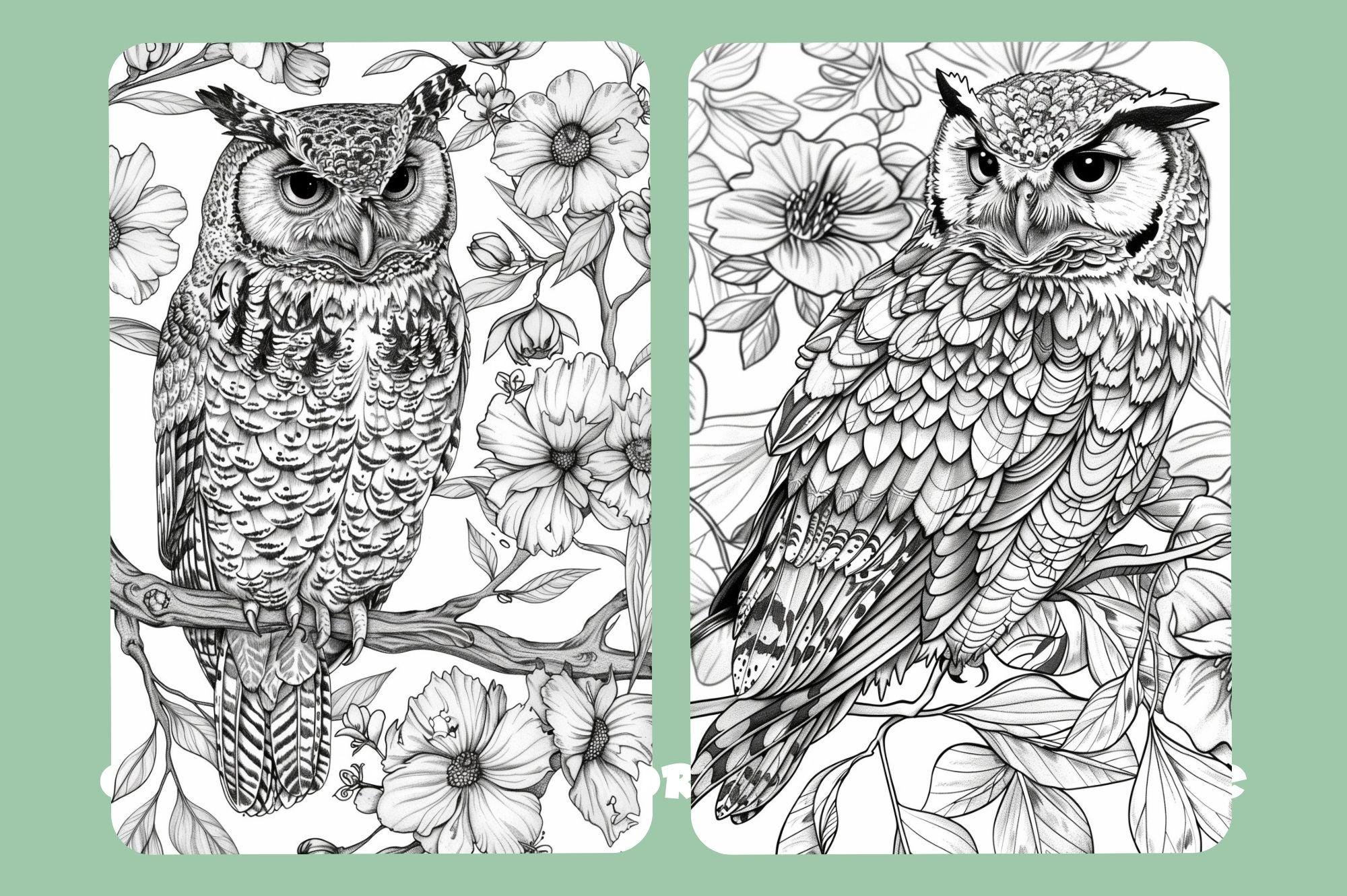 Fantasy Floral Owl Coloring Book: Grayscale Relaxing Art (printable PDF ...