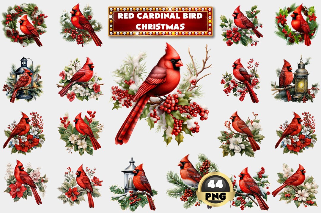 Red Cardinal Bird Christmas Clipart, Bird PNG Clipart, Holiday Clipart ...