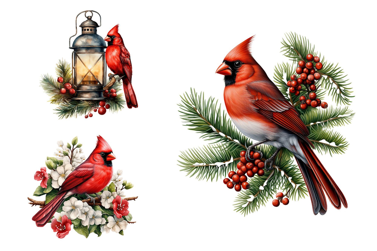 Red Cardinal Bird Christmas Clipart, Bird PNG Clipart, Holiday Clipart ...