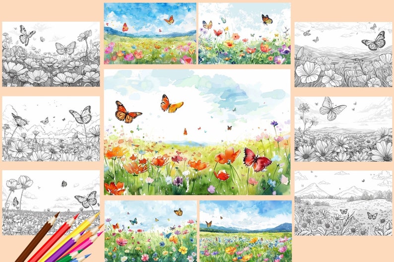 Flower Field and Butterflies Coloring Book: Relaxing Grayscale ...