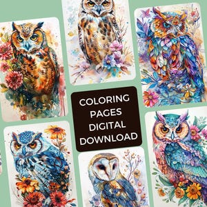 Fantasy Floral Owl Coloring Book, Bird Coloring, Relaxing Coloring ...