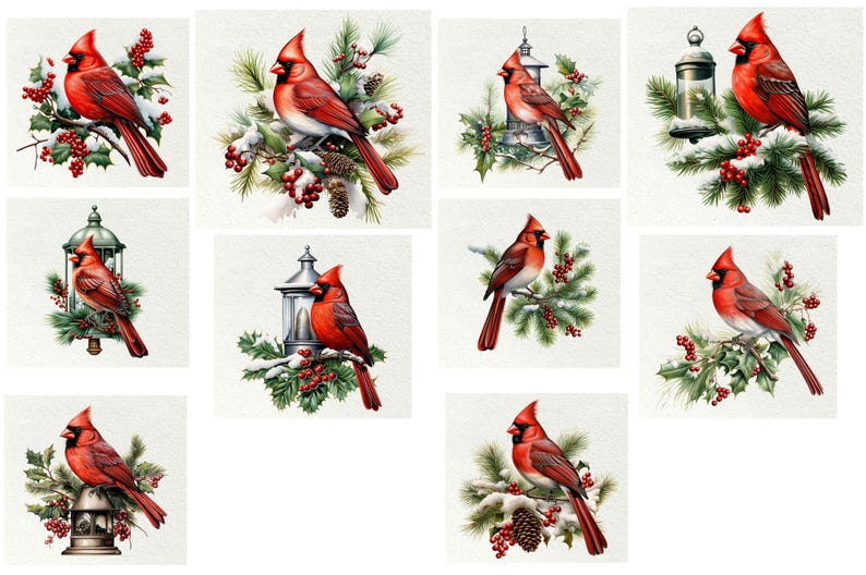 Red Cardinal Bird Christmas Clipart, Bird PNG Clipart, Holiday Clipart ...