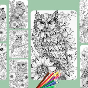 Fantasy Floral Owl Coloring Book, Bird Coloring, Relaxing Coloring ...