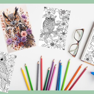Fantasy Floral Owl Coloring Book, Bird Coloring, Relaxing Coloring ...