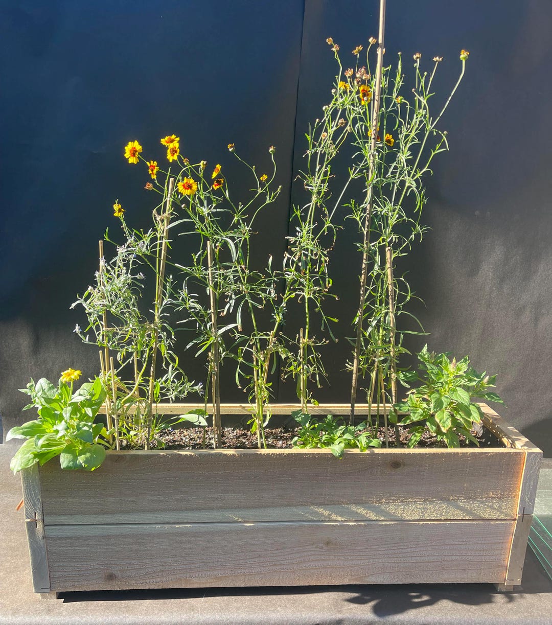 Bespoke Handcrafted Rectangle Trough Planter (large) - Etsy