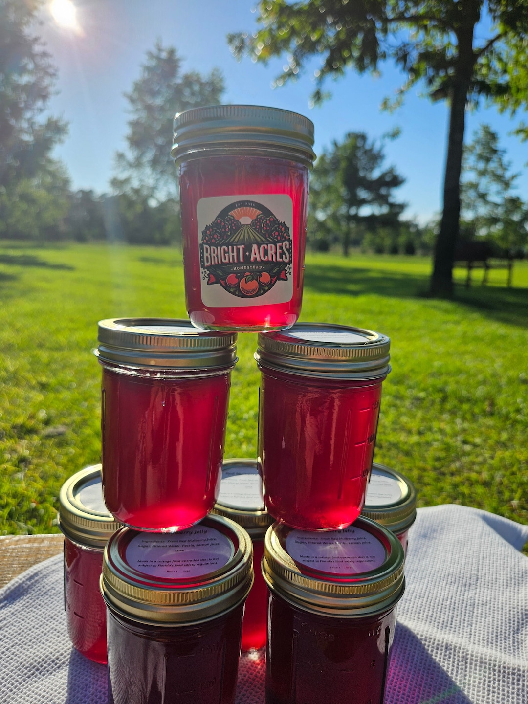 Mulberry Jelly Varieties - Etsy