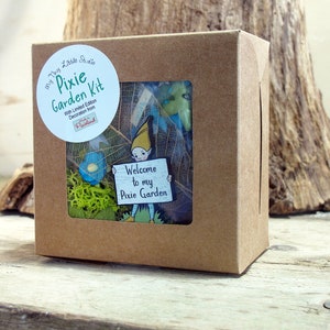 DIY Pixie Garden Kit in Collaboration With Mytinylittlestudio - Etsy