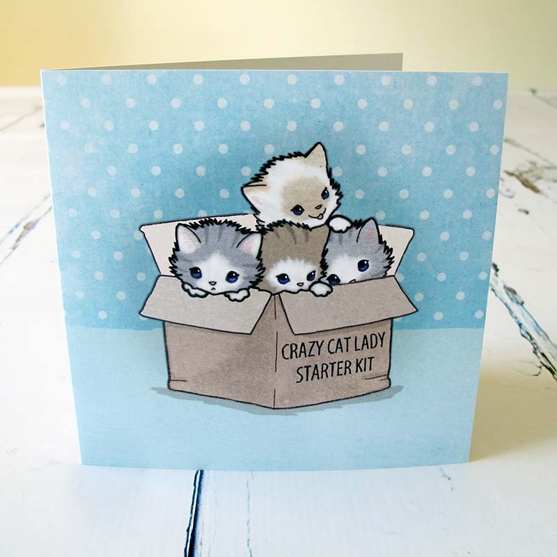 Crazy Cat Lady Starter Kit Envelope