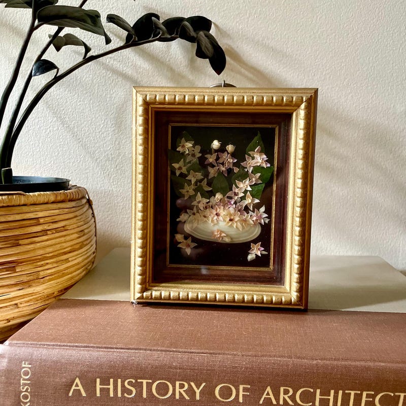 Shell Art Shadow Box - Etsy