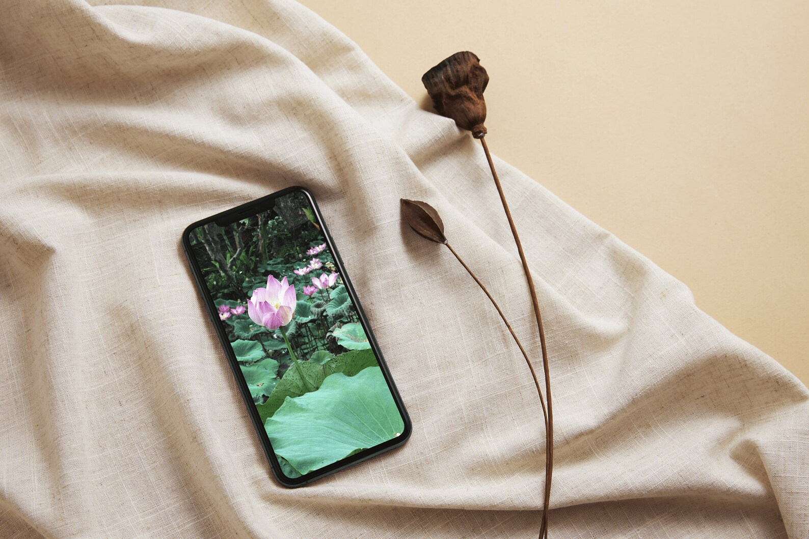 Balinese Lotus Digital Wallpaper - Phone or Tablet - Etsy