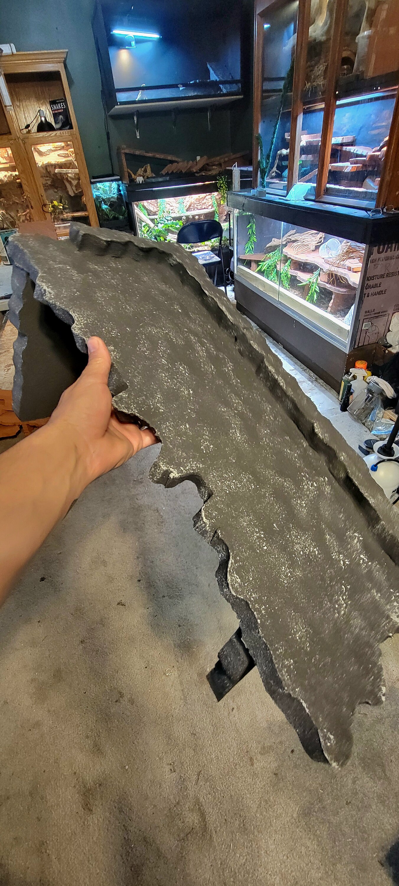 Reptile Basking Platform These Custom, Hand Crafted, Hand Painted ...