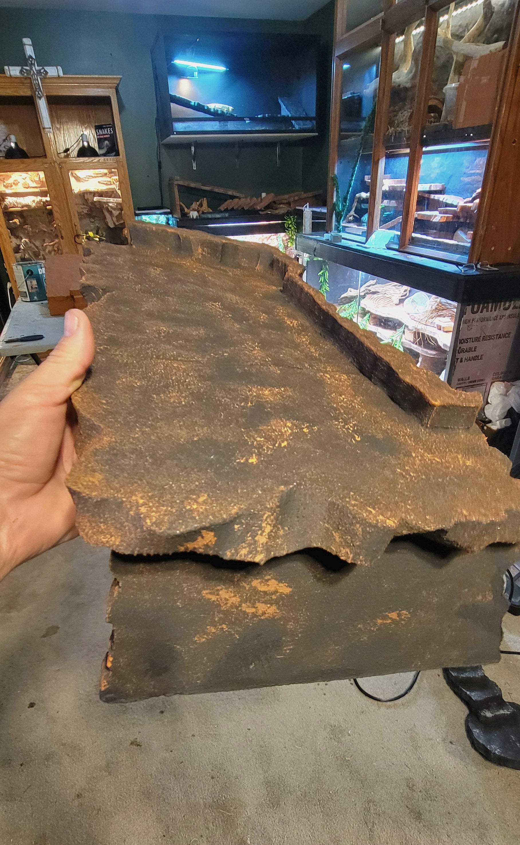 Reptile Basking Platform These Custom, Hand Crafted, Hand Painted ...