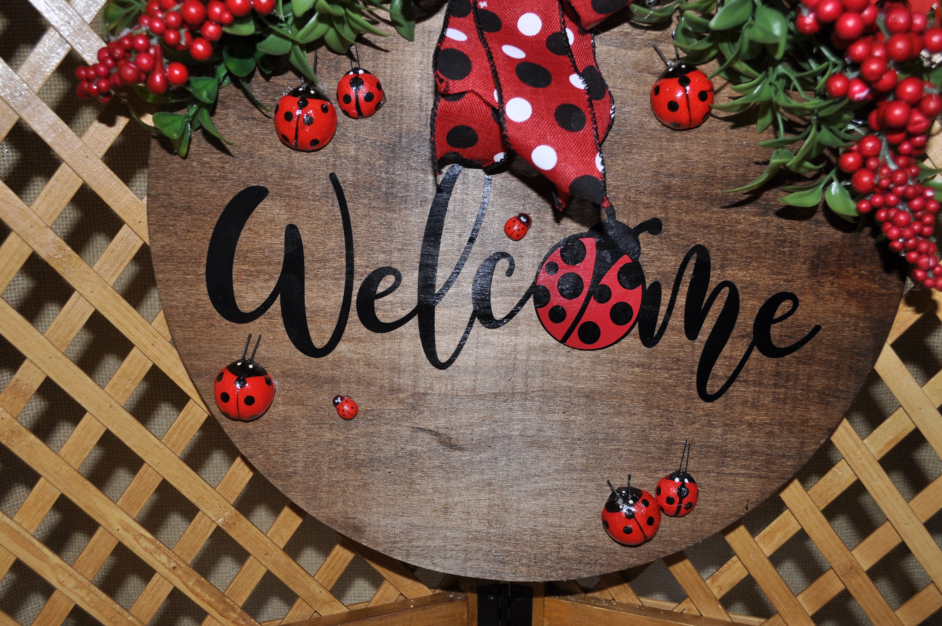 Ladybug Front Door Sign - Etsy
