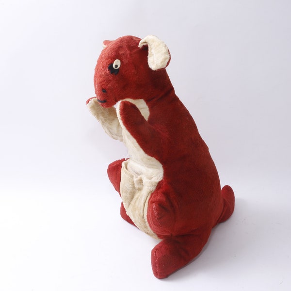 Red Kangaroo - Etsy