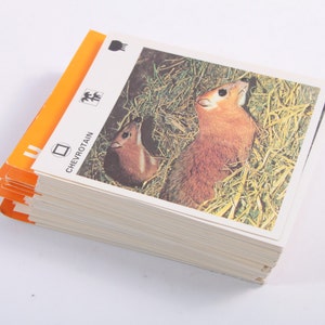 Vintage 1970s Animal Wildlife Cards - Leisure Books 1975 - 100+ Cards ...