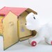 Jack in the Box Style Pop Out Pooch Pftt Dog Pop-out Pup Toy Tot-tested ...