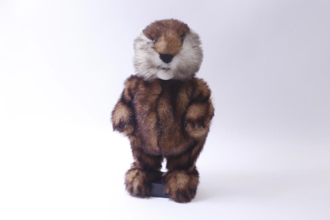 Adorable Vintage Gemmy Dancing Singing Gopher WORKS Caddyshack Animated 250622-WH 347 - Etsy