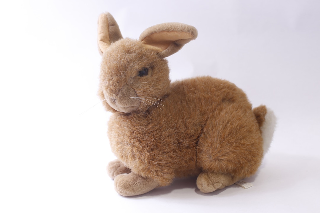 Brown Plush Rabbit, Adorable Bunny, Soft Toy, Stuffed Animal, ~ 240606 ...