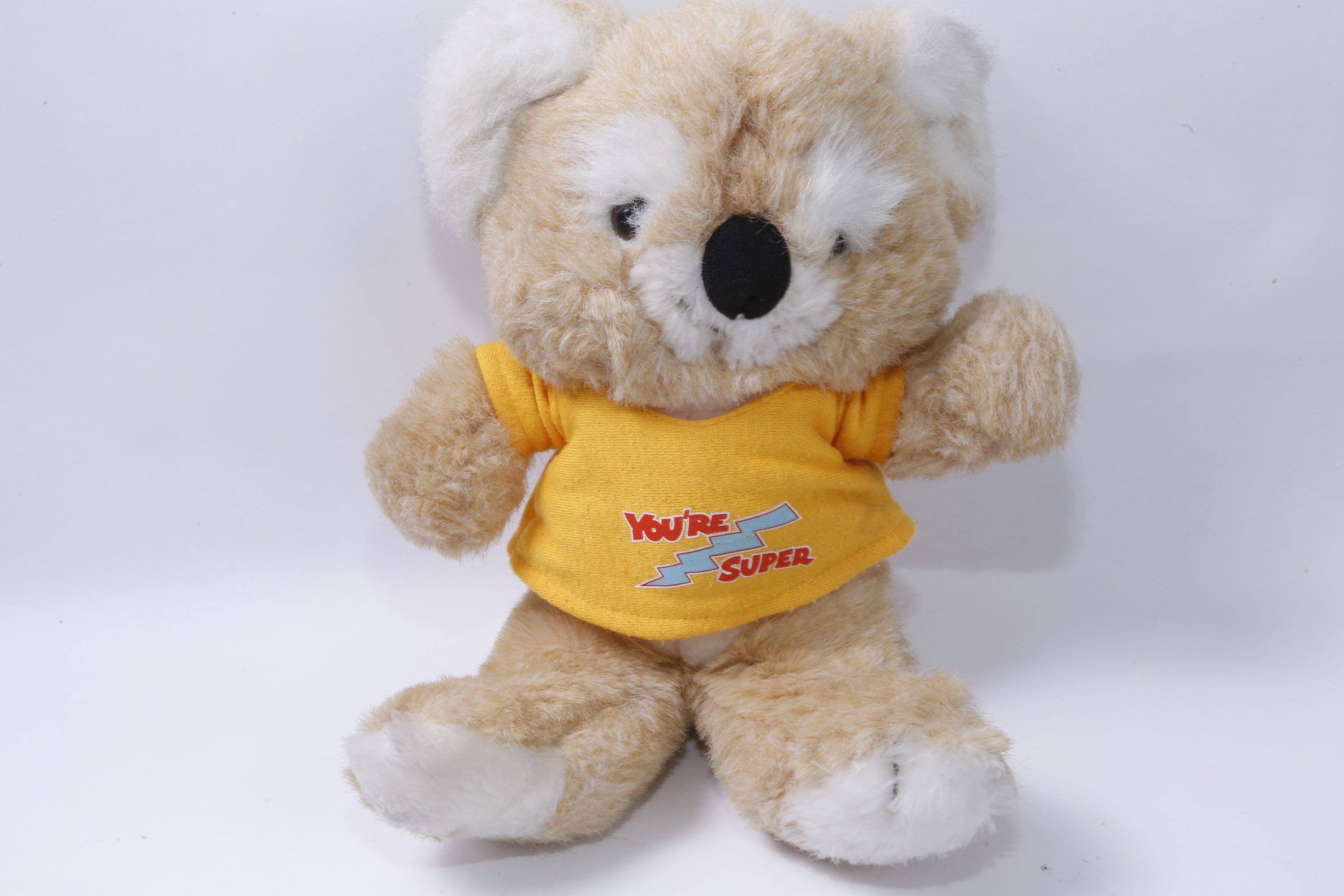 Kirby teddy bear store