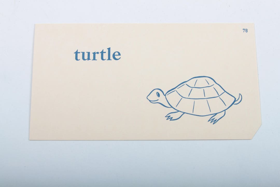 Turtle Flash Card Sepia Aged Vintage Antique Sight Word Pictures 1950's ...