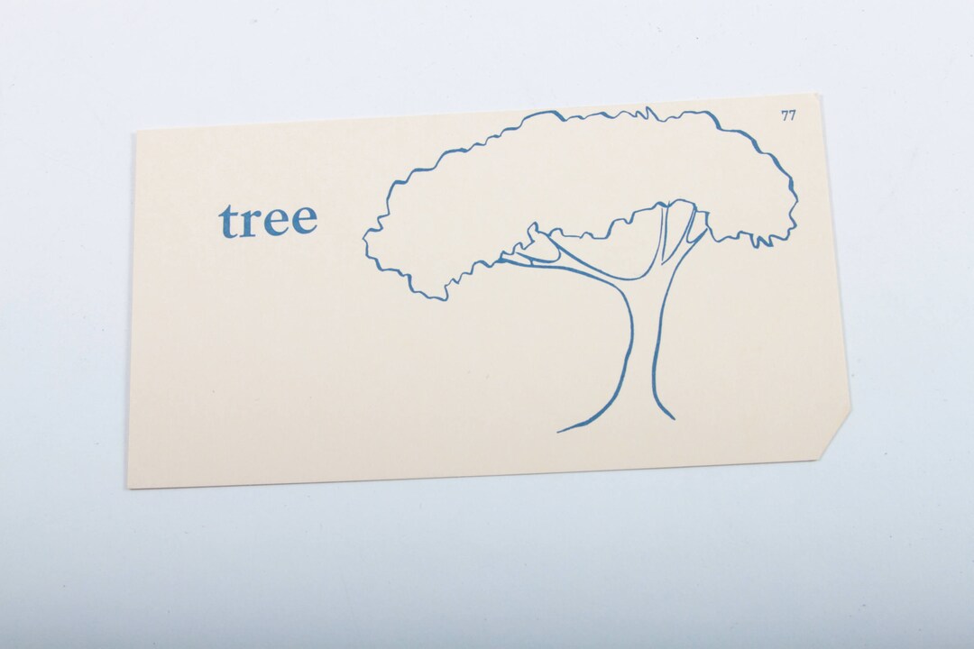 TREE Flash Card Sepia Aged Vintage Antique Sight Word Pictures 1950's ...